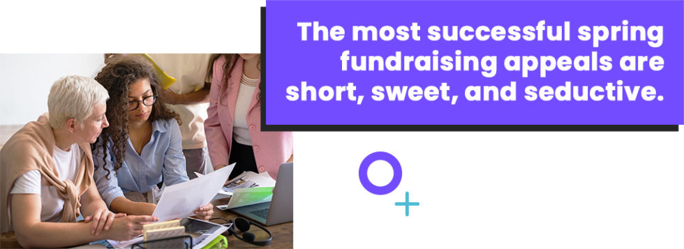 Three tips for a successful spring fundraising appeal. - amplifi